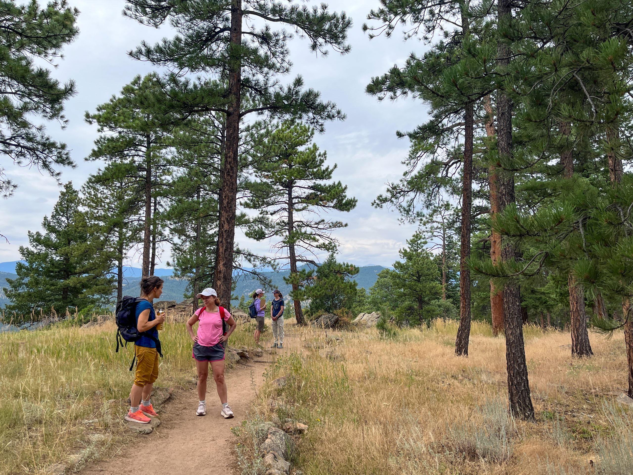 Impact Adventure with ICF: Embodying Creativity in Coaching
